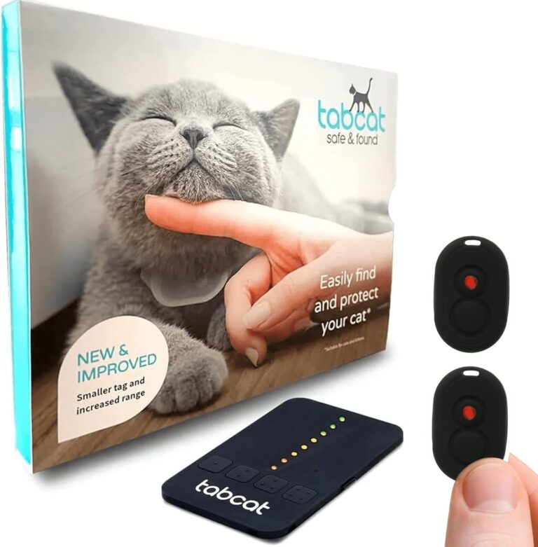 Best GPS Cat Collars for Keeping Track of Your Feline Explorer - Pet ...